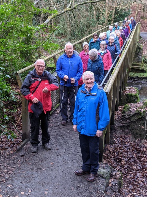 Cedars Walkers