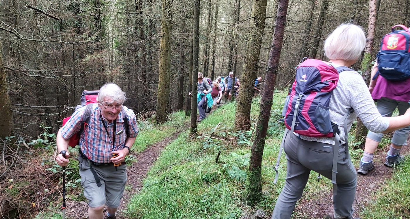 Cedars Walkers
