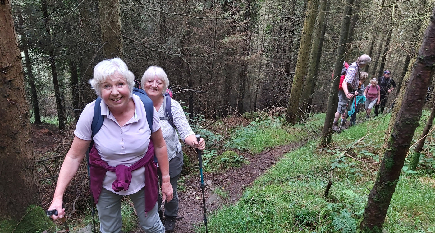 Cedars Walkers