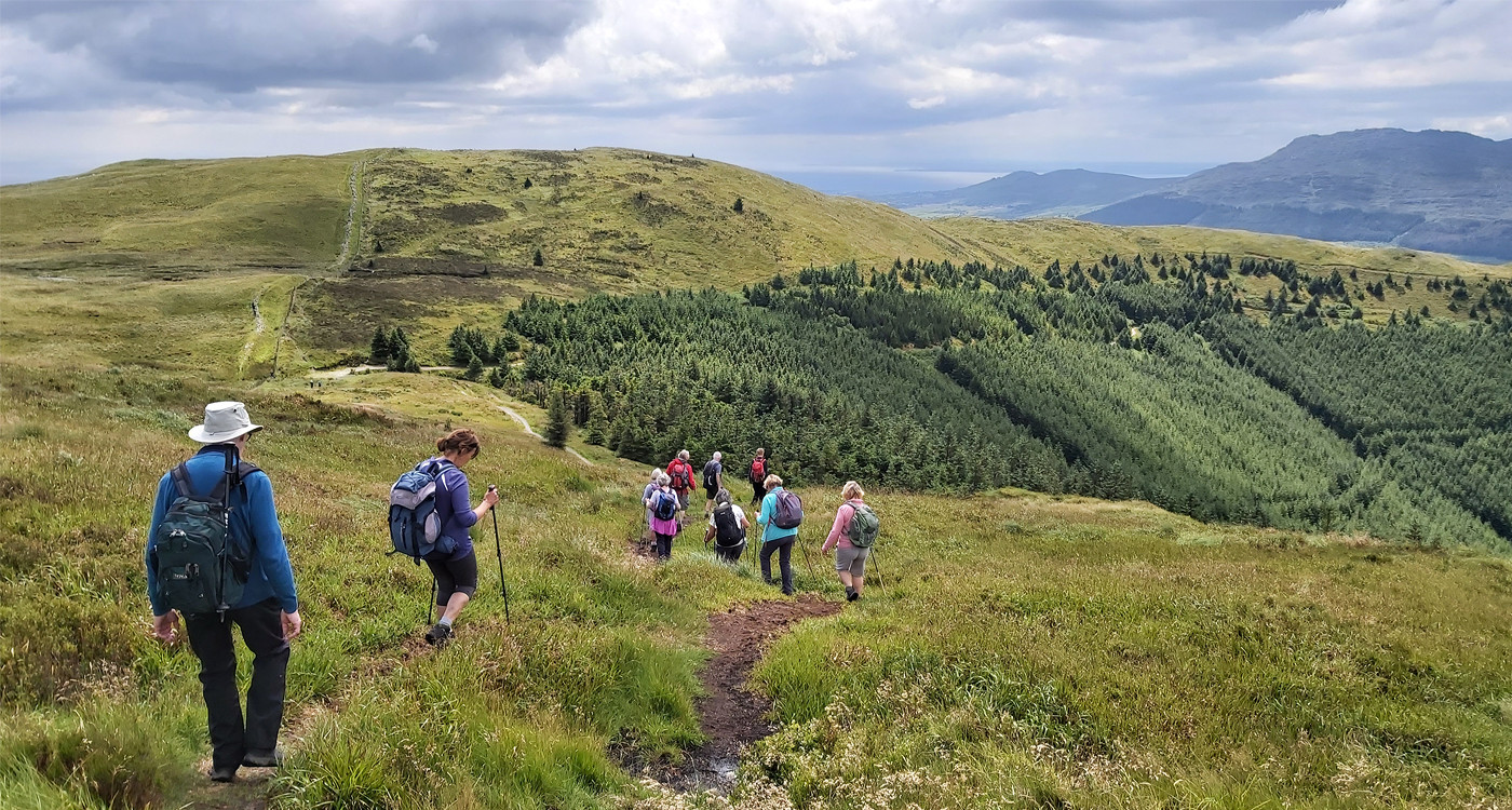 Cedars Walkers