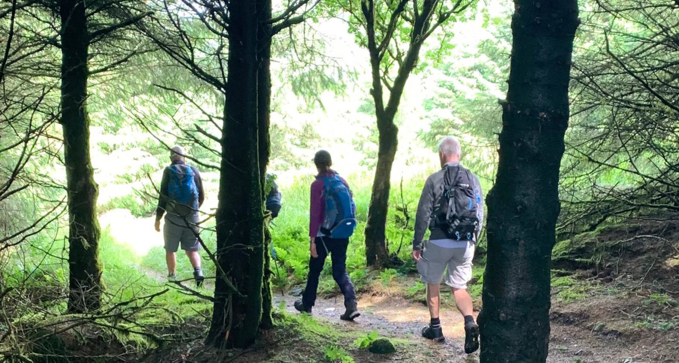 Cedars Walkers